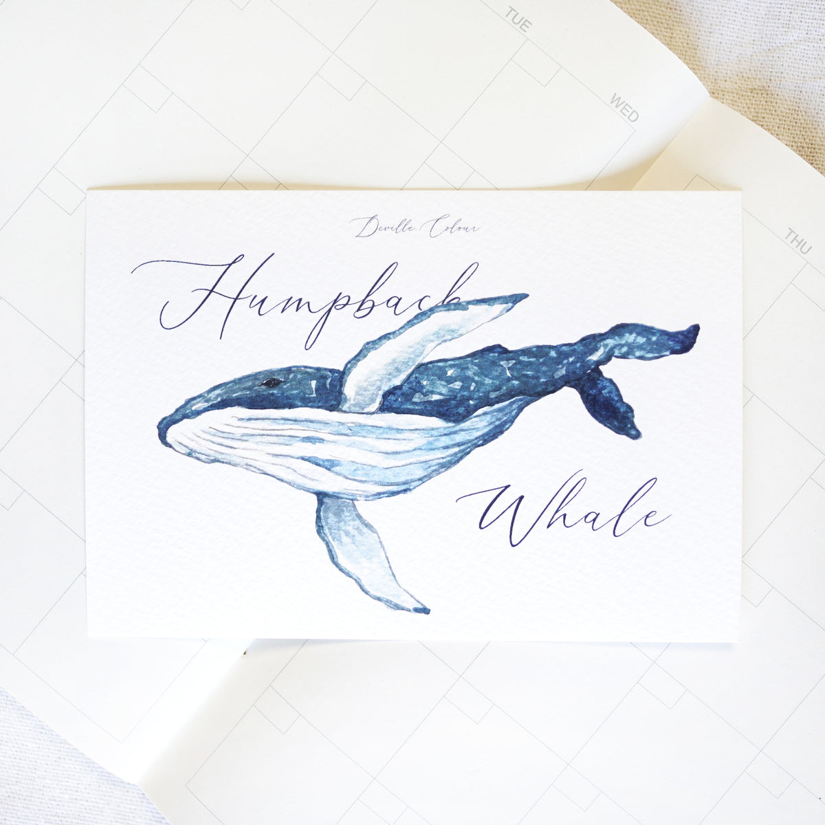 A6 Postcard - Humpback Whale - The Tree Stationery & Co. – The Tree ...